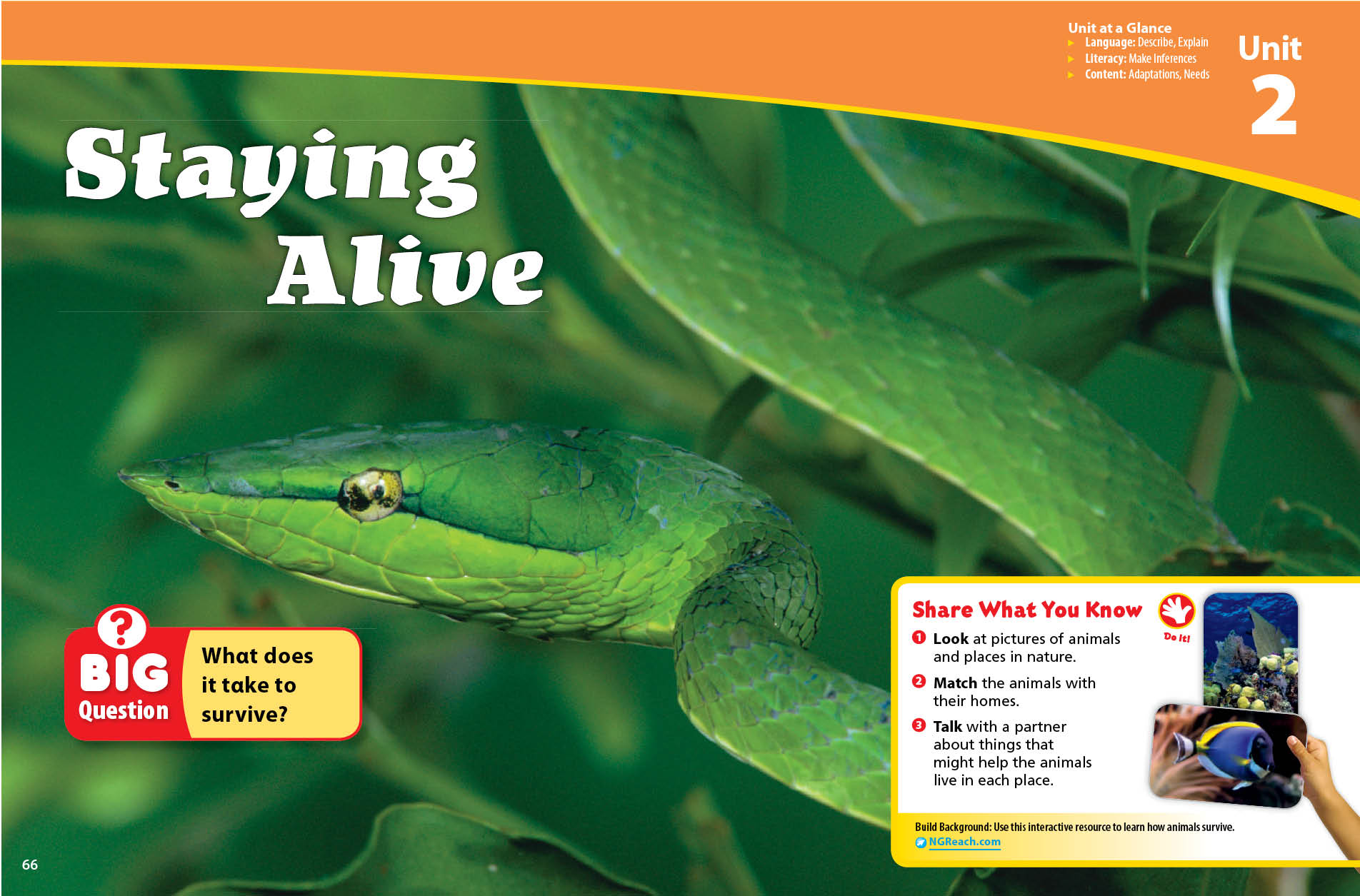 National Geographic Reach Reading Program – LNMDE